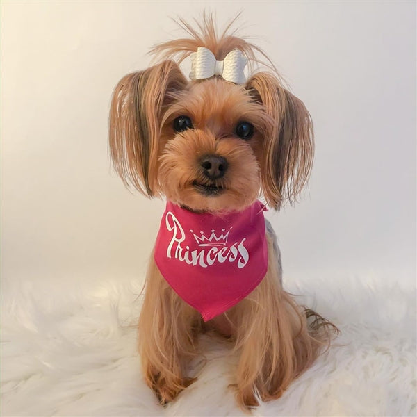 The Ultimate Guide to Dressing Your Pet for Any Occasion – Parisian Pet