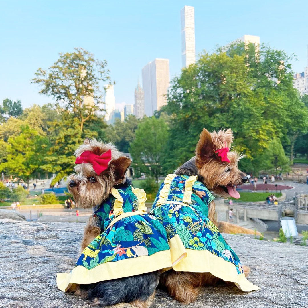 Spring Fashion for Small Pets: Stylish & Comfortable Outfits – Parisian Pet