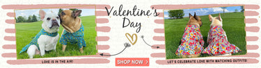 Parisian Pet: Designer Dog Clothes & Pet Apparel for Every Occasion!