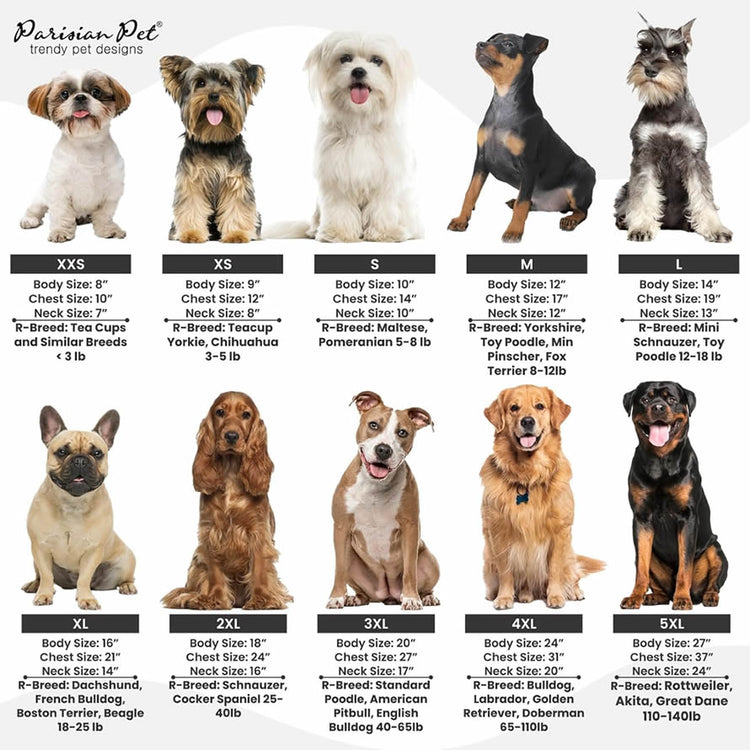 Pet Sizing & Measurements Guide | Find the Perfect Fit – Parisian Pet