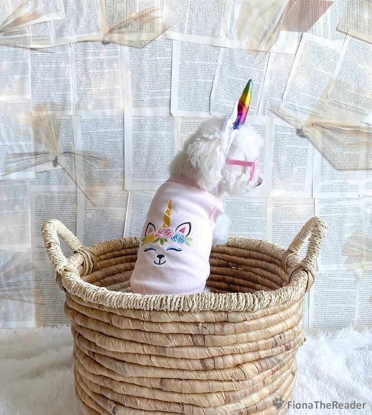 Parisian Pet: Designer Dog Clothes & Pet Apparel for Every Occasion!