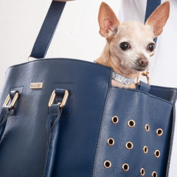Parisian Pet: Designer Dog Clothes & Pet Apparel for Every Occasion!