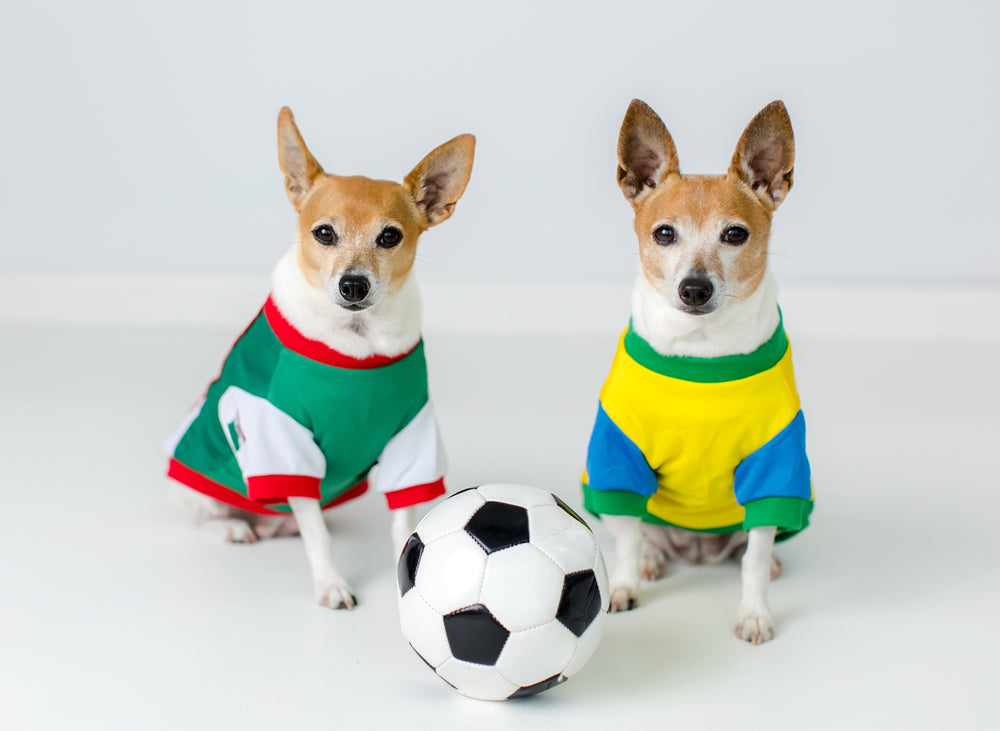 Parisian Pet: Designer Dog Clothes & Pet Apparel for Every Occasion!